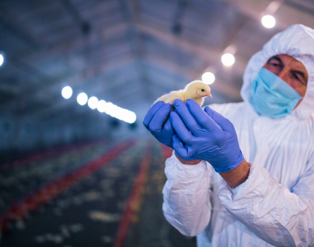 Field-deployable CRISPR-based diagnostics for improved biosecurity in ...
